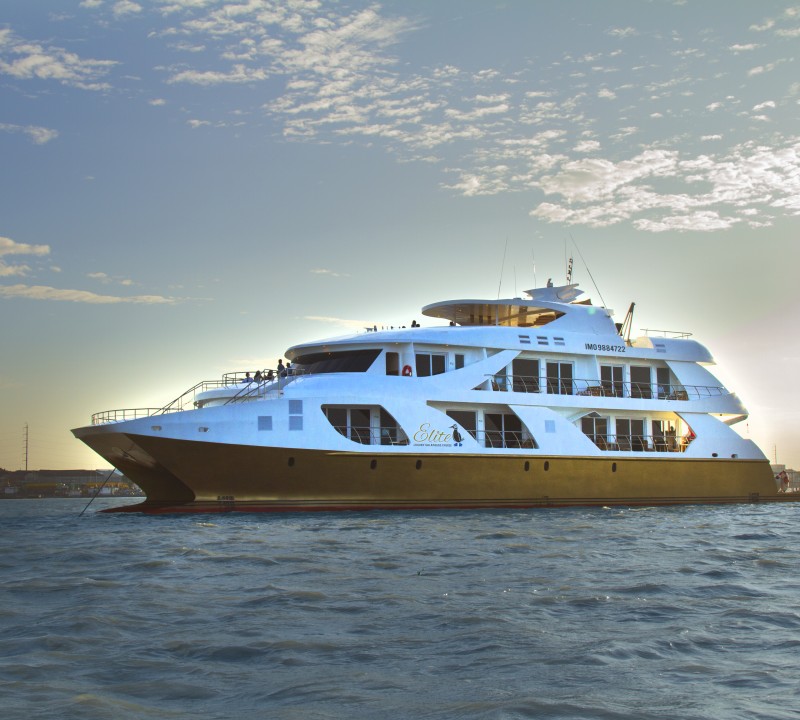 ELITE Yacht Charter Details, Custom | CHARTERWORLD Luxury Superyachts