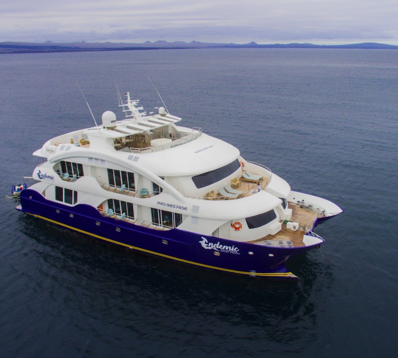 Current Top 10 Largest Catamarans For Charter | CharterWorld