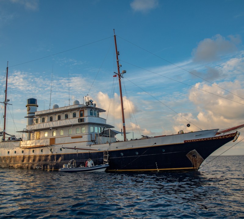 Yacht DAEDALUS, Delta | CHARTERWORLD Luxury Superyacht Charters