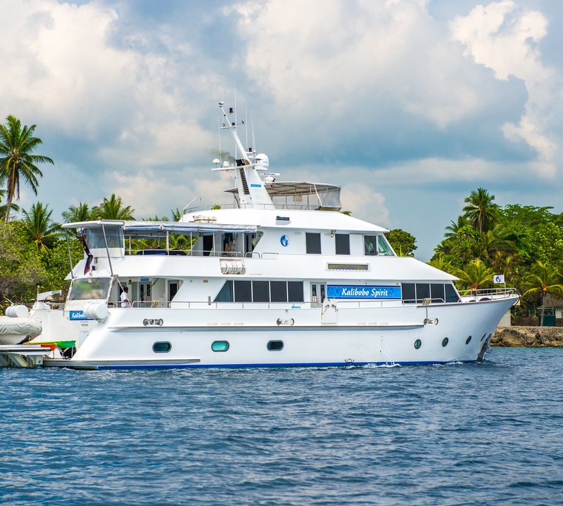 Kalibobo Spirit Yacht Charter Details, Papua New Guinea PNG charter ...