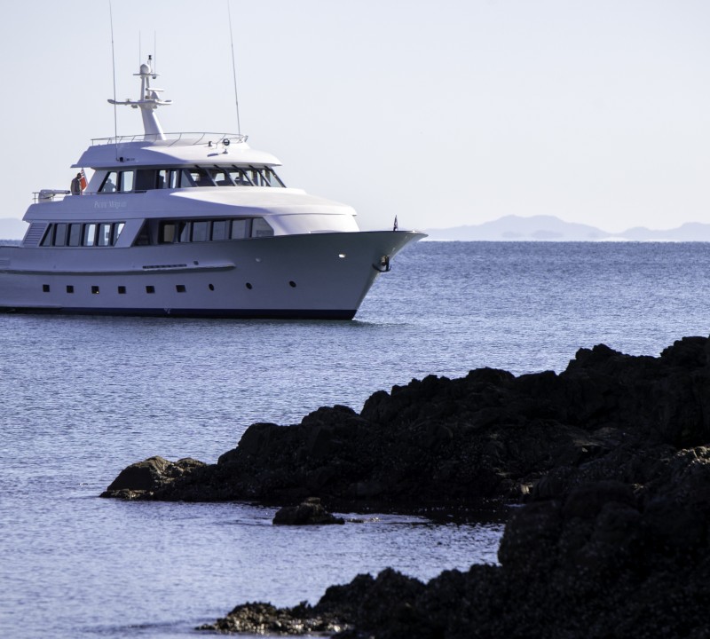 Pacific Mermaid Yacht Charter Details, Winter Yachts | CHARTERWORLD ...
