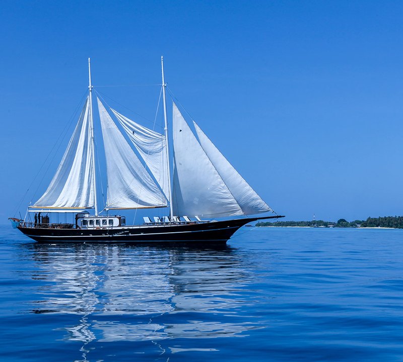 Custom Image Gallery – Luxury Yacht Browser | by CHARTERWORLD ...