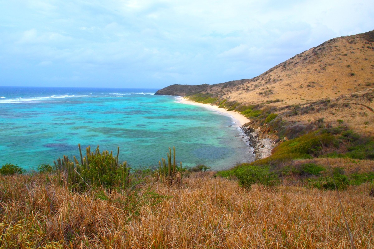 Jack and Isaac Bay’s Preserve, St Croix — Yacht Charter & Superyacht News