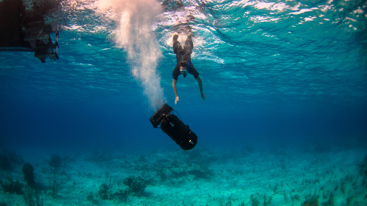 10 Top Dive Sites For a Caribbean Yacht Charter — Yacht Charter ...